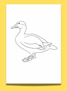 3 Free Duck Template Printables - Artsydee - Drawing, Painting, Craft ...