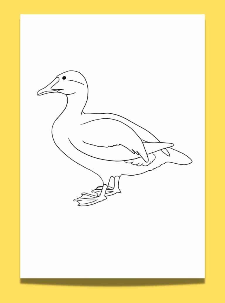 3 Free Duck Template Printables - Artsydee - Drawing, Painting, Craft ...