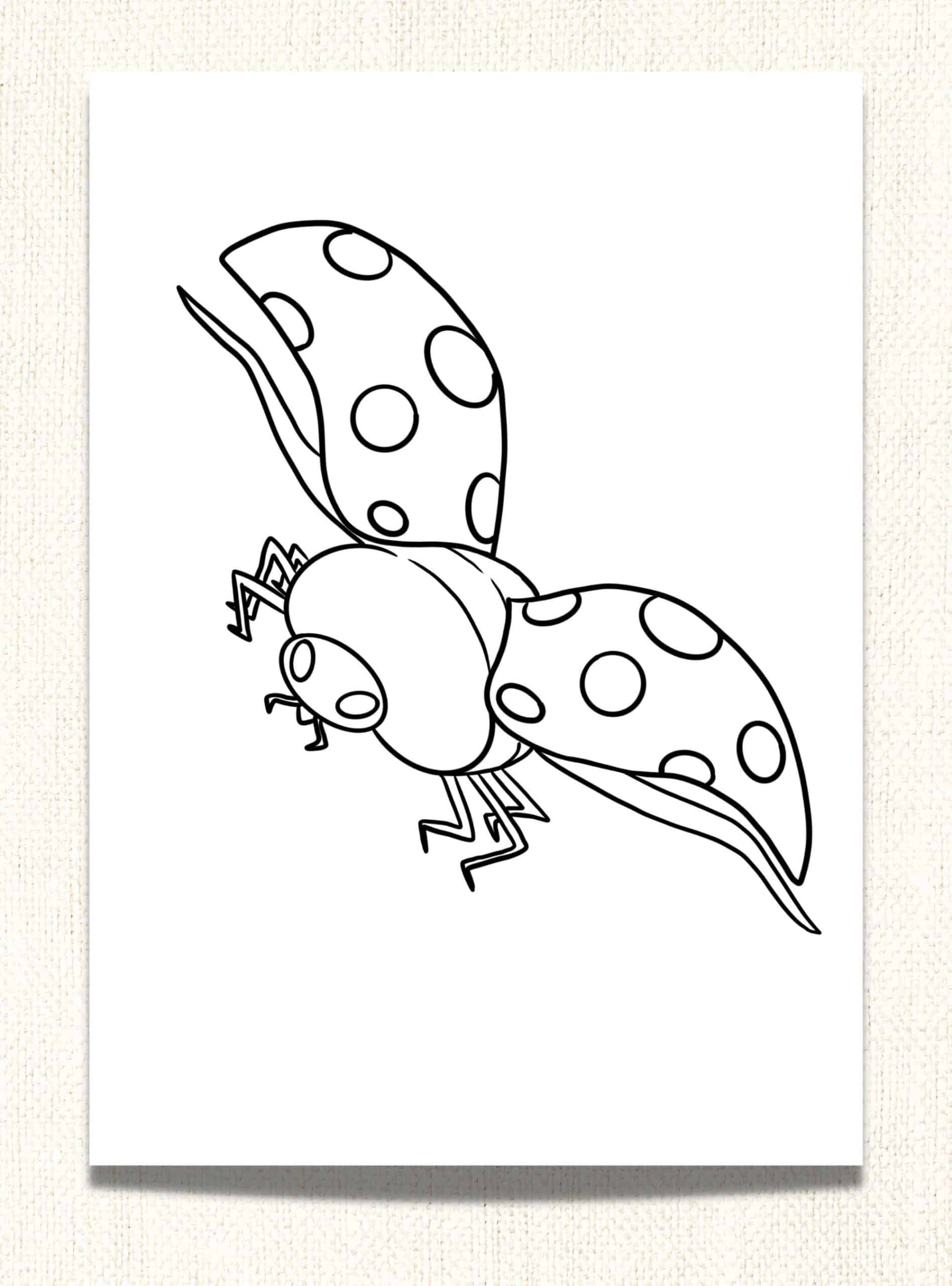 4 FREE Ladybug Printables for Your Arts & Crafts - Artsydee - Drawing ...