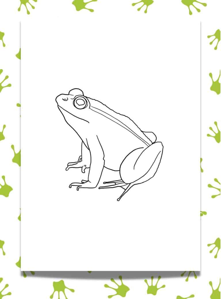 Looking for a frog printable template? 3 Frog Designs for Your Arts ...