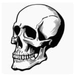 27 Awesome Skull Drawing Reference Images - Artsydee - Drawing ...