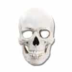 27 Awesome Skull Drawing Reference Images - Artsydee - Drawing ...