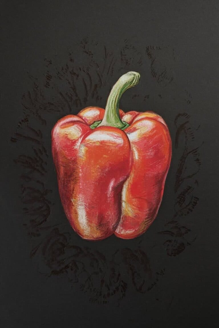 The Ultimate Beginners Guide for Drawing on Black Paper with Colored ...