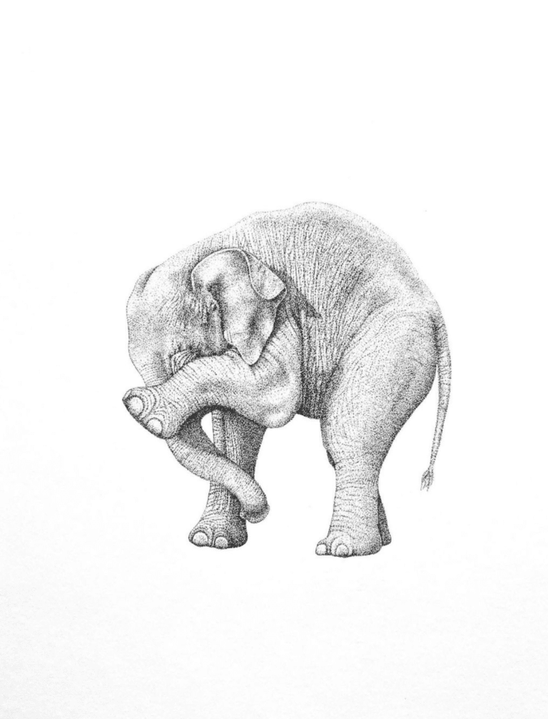 Stippling Art: A Beginner's Guide to Creating Stunning Artworks ...