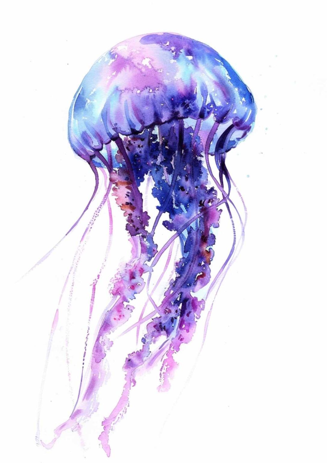 25 Watercolor Jellyfish Paintings to Inspire Your Inner Artist ...