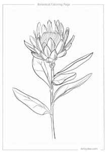 50 Botanical Coloring Pages: Your Free Ticket to a Colorful Garden ...