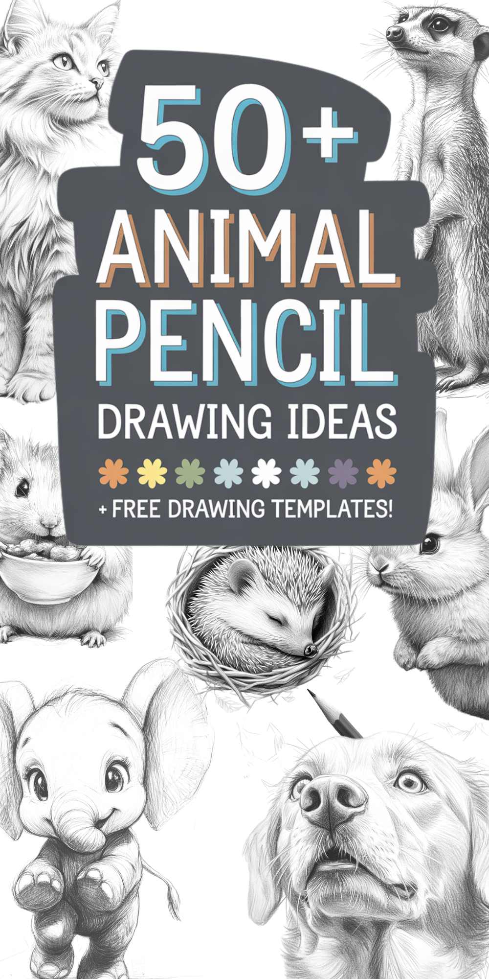50+ Cute Animal Pencil Drawings (Cute Drawing Ideas + FREE Printable ...
