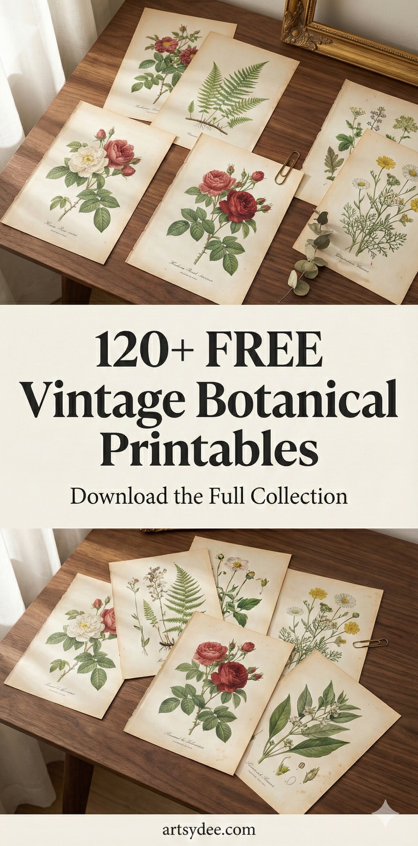 120+ Free Vintage Botanical Printables + Creative Ways to Use Them ...