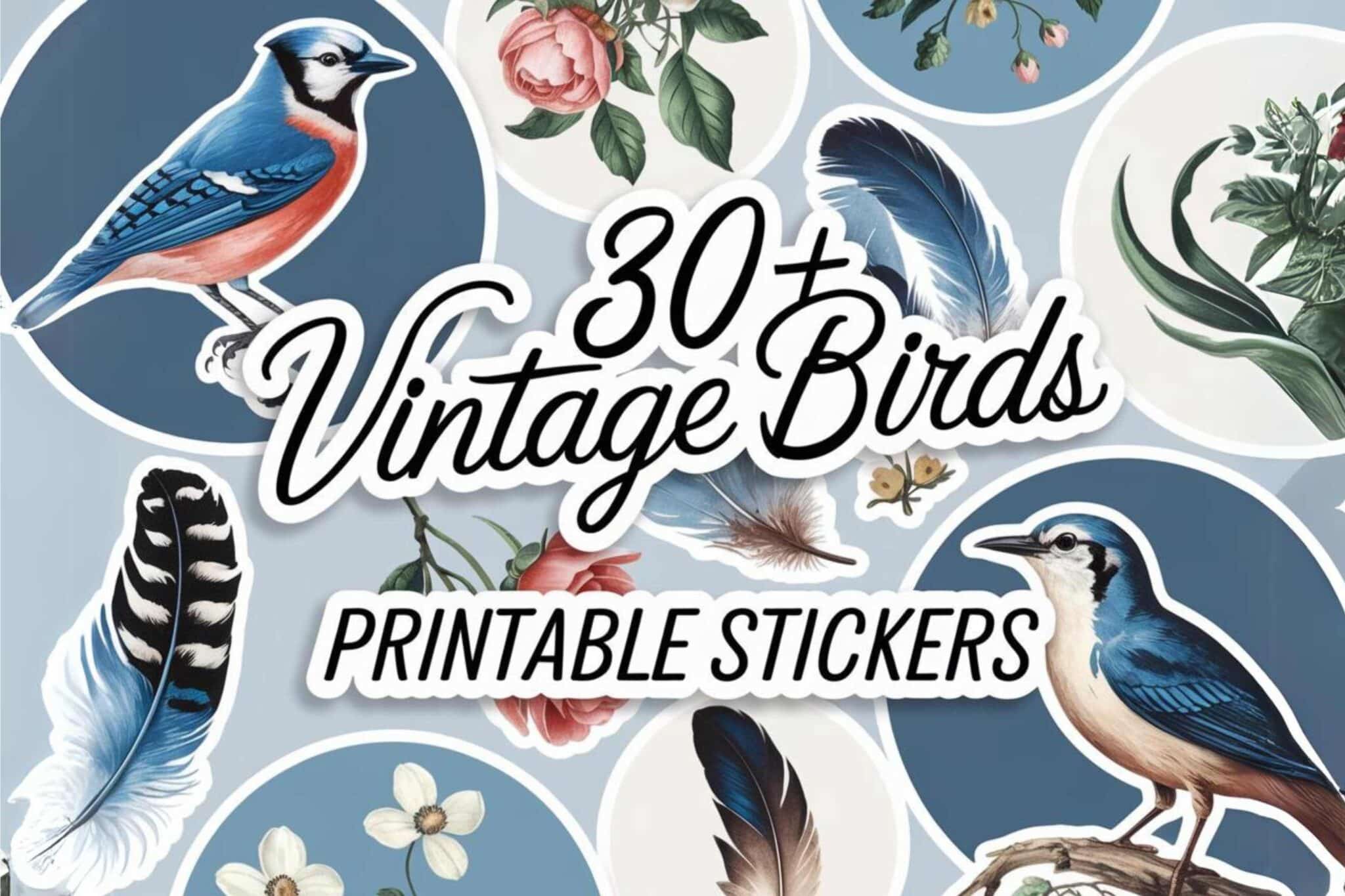 Vintage Bird Ephemera Sticker Collection: Printable Scrapbook Stickers ...