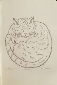 50+ Cute & Easy Doodles To Draw In Your Sketchbook! - Artsydee ...