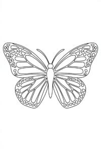 70+ Outline Drawings for Painting and Coloring: Free Templates ...