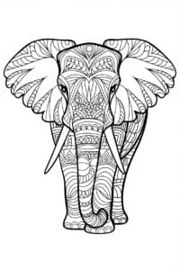 70+ Outline Drawings for Painting and Coloring: Free Templates ...