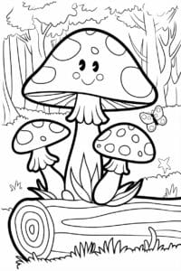 70+ Outline Drawings for Painting and Coloring: Free Templates ...