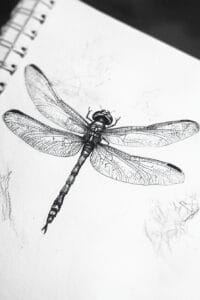 35 Ink Pen Art Ideas for Beginners + Free Drawing Templates! - Artsydee ...