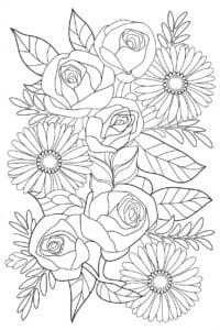 70+ Outline Drawings for Painting and Coloring: Free Templates ...