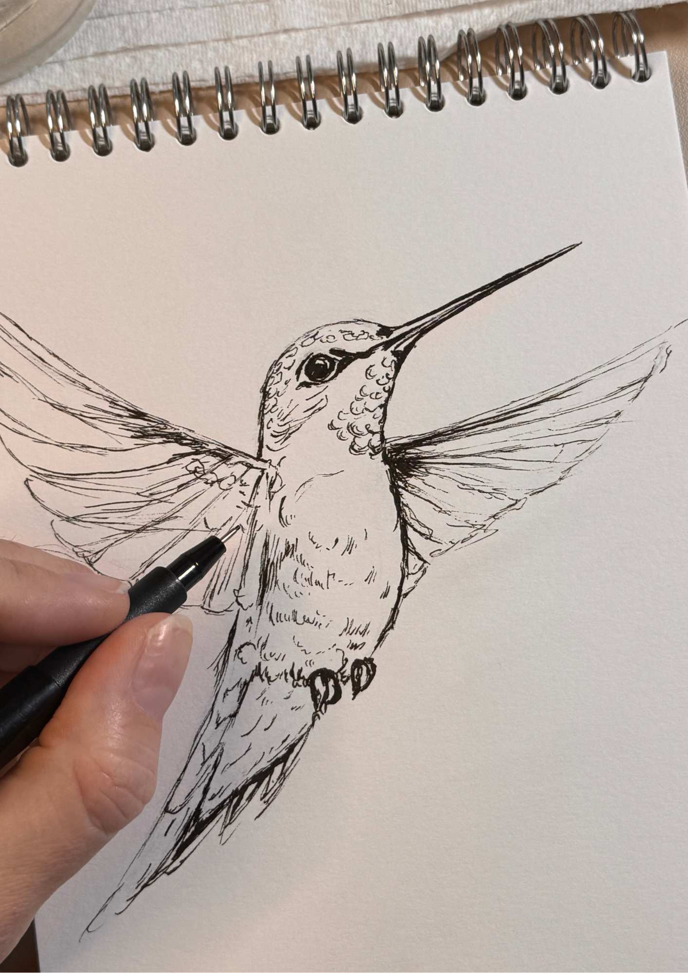 How to Paint an Easy Watercolor Hummingbird (Step-by-Step Line & Wash ...