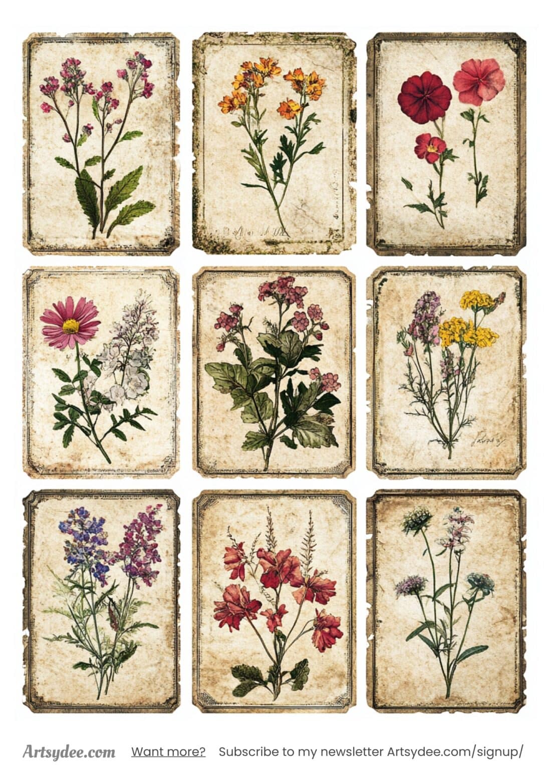 10 Vintage Aesthetic Stickers Printables: Free Retro Collections for ...