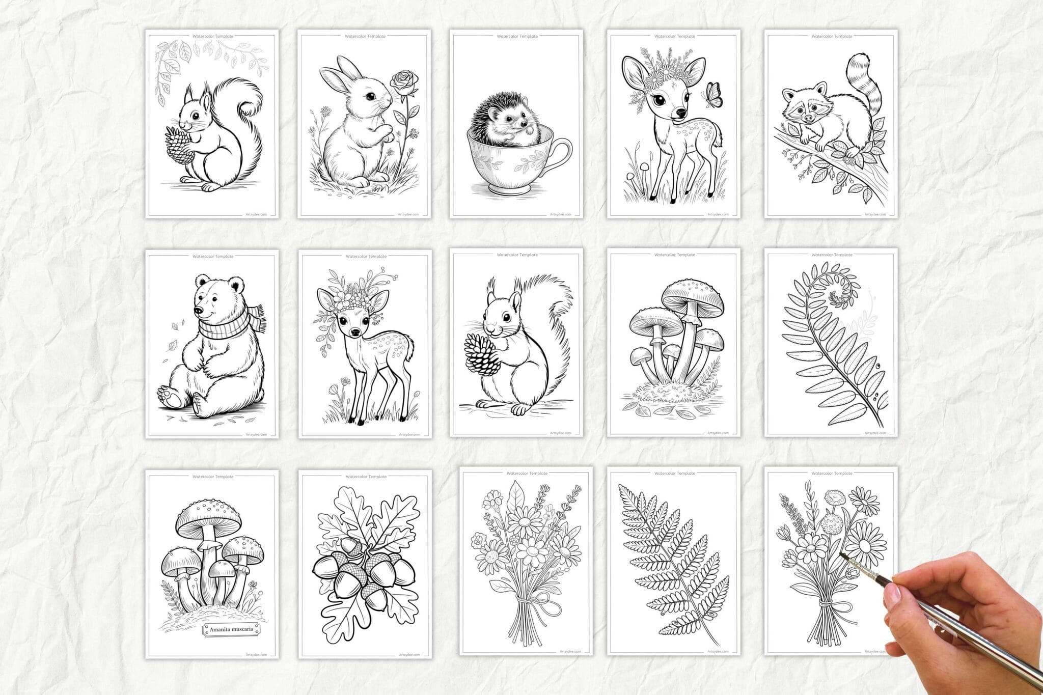 🌿 Whimsical Woodland Animals Watercolor Templates & Digital Stamps (27 ...