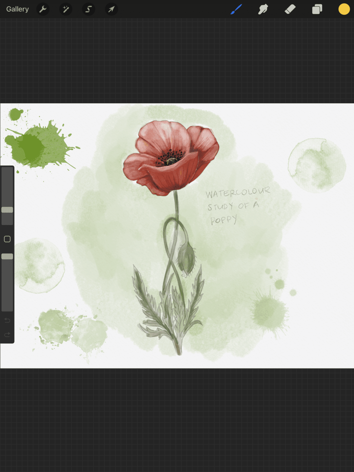 Can You Really Paint Watercolor in Procreate? (Yes — And Here's How ...