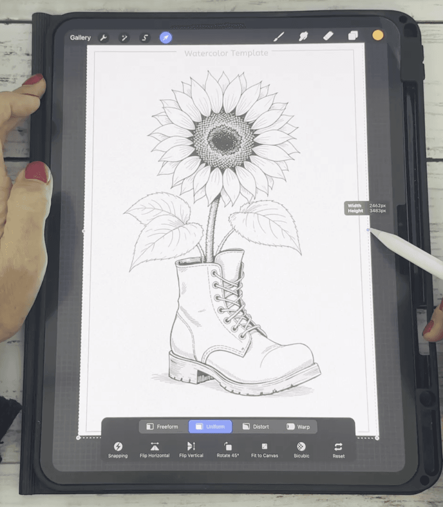 🎨 How to Use Watercolor Templates in Procreate (Step-by-Step Tutorial ...