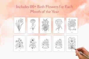 Birth Flowers: A Complete Guide to Every Month (+Free December Birth ...