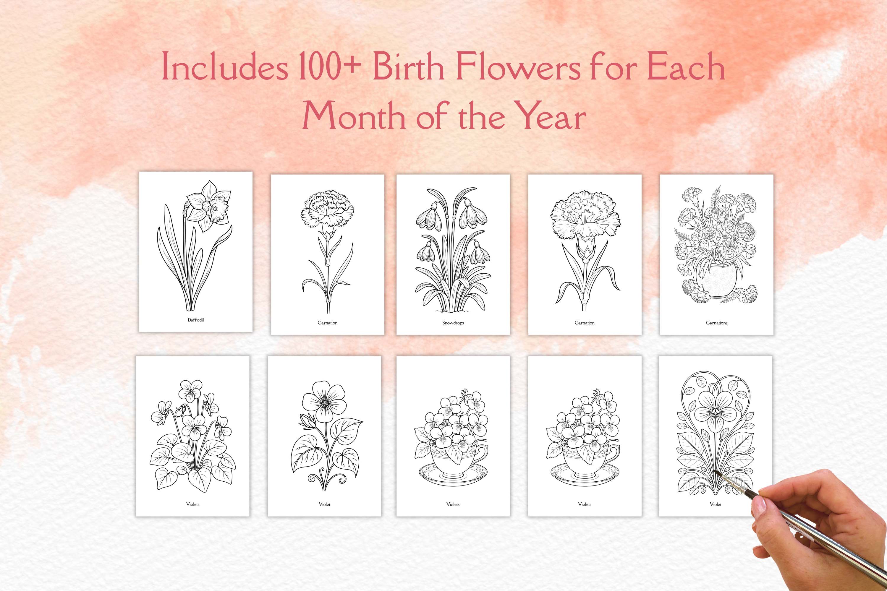 Birth Flowers: A Complete Guide to Every Month (+Free December Birth ...