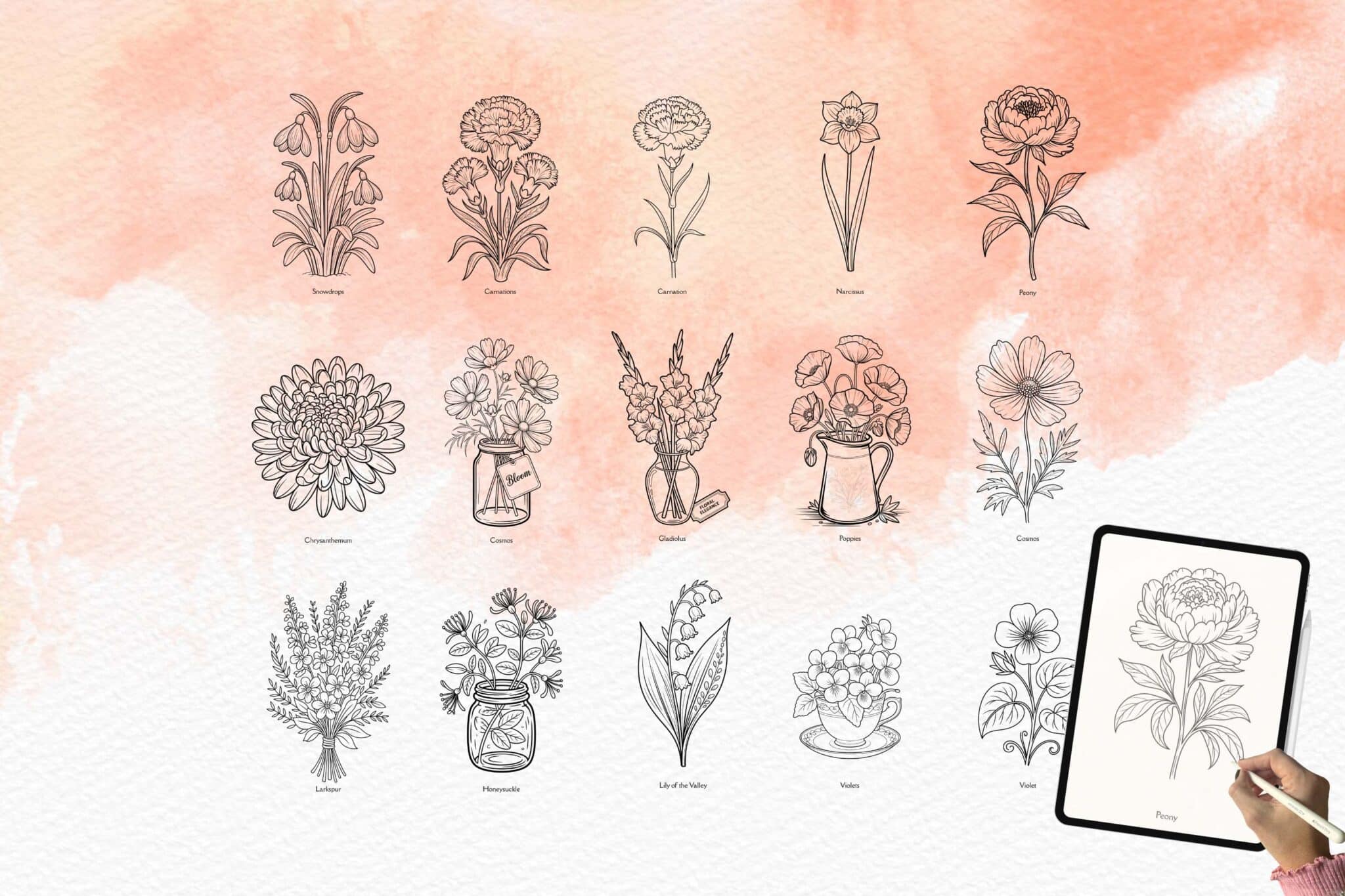 Birth Flowers: A Complete Guide to Every Month (+Free December Birth ...