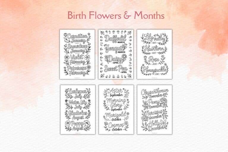 Birth Flowers: A Complete Guide to Every Month (+Free December Birth ...