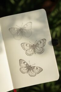 27 Inspirational Drawing Ideas to Spark Your Creativity (With Free ...